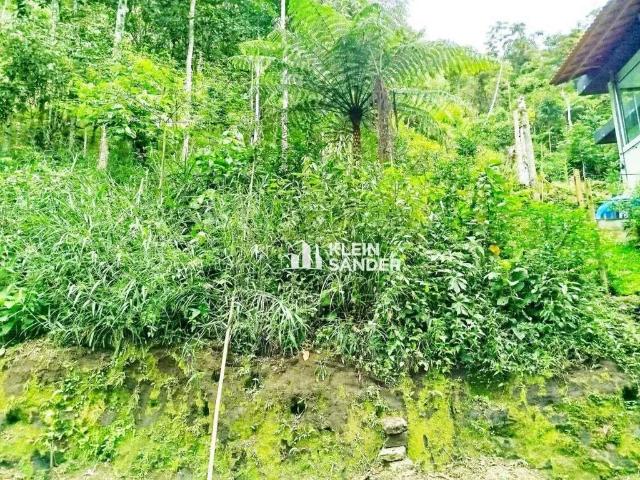 Terreno / Lote para Venda em Nova Friburgo/RJ Cônego