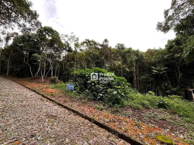 Terreno / Lote para Venda em Nova Friburgo/RJ Cônego