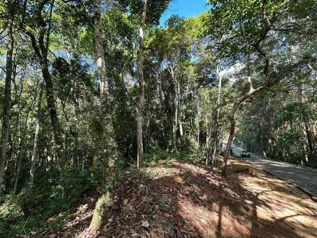Terreno / Lote para Venda em Nova Friburgo/RJ Cônego