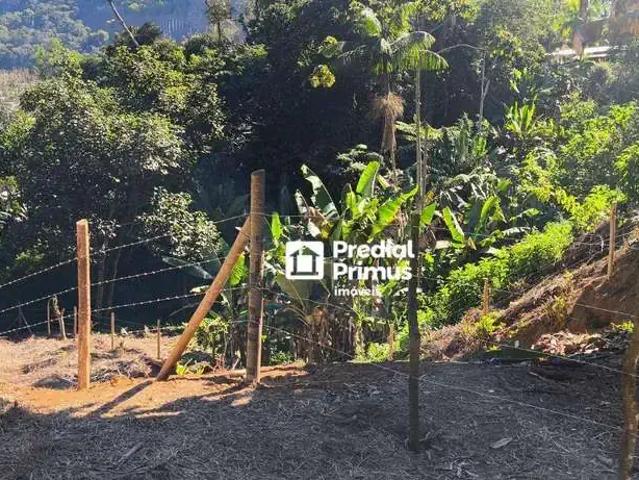 Terreno / Lote para Venda em Nova Friburgo/RJ Conselheiro Paulino