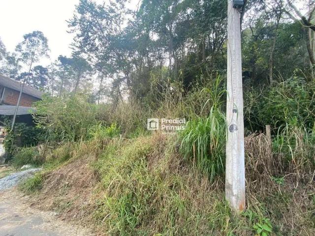 Terreno / Lote para Venda em Nova Friburgo/RJ Conselheiro Paulino