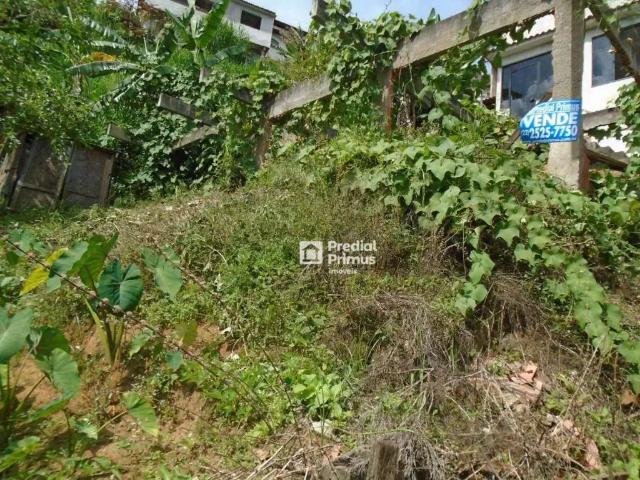 Terreno / Lote para Venda em Nova Friburgo/RJ Conselheiro Paulino