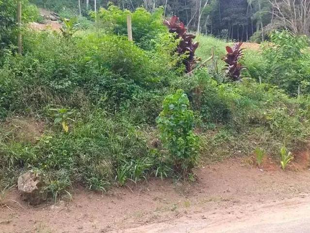 Terreno / Lote para Venda em Nova Friburgo/RJ Córrego D'Antas