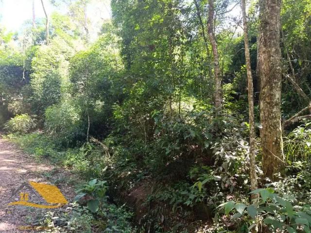 Terreno / Lote para Venda em Nova Friburgo/RJ Cardinot