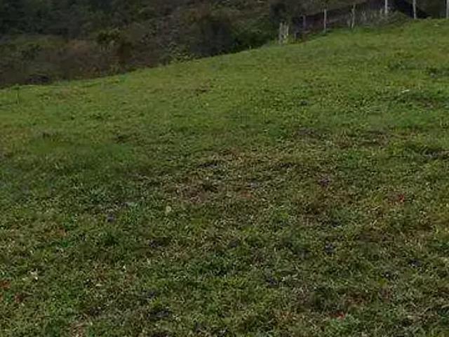 Terreno / Lote para Venda em Nova Friburgo/RJ Cascatinha