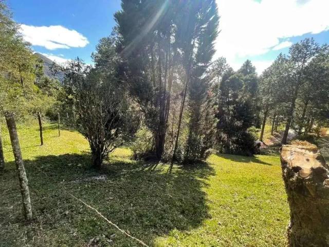 Terreno / Lote para Venda em Nova Friburgo/RJ Cascatinha