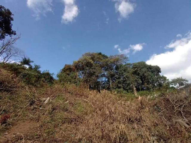 Terreno / Lote para Venda em Nova Friburgo/RJ Braunes