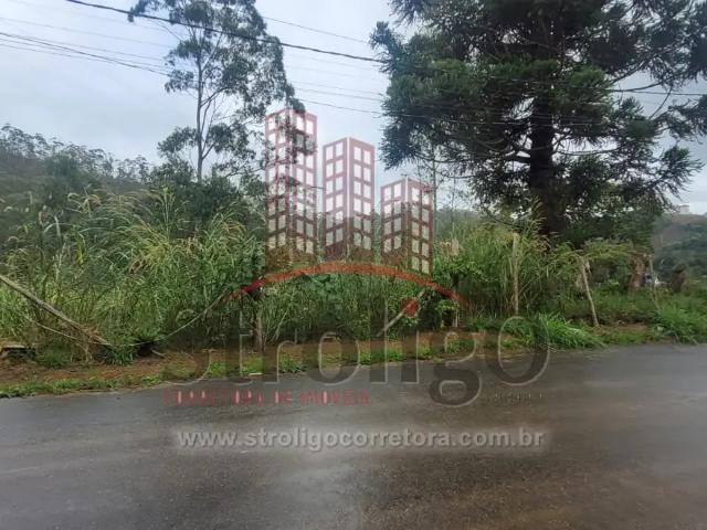 Terreno / Lote para Venda em Nova Friburgo/RJ Braunes