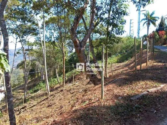 Terreno / Lote para Venda em Nova Friburgo/RJ Braunes