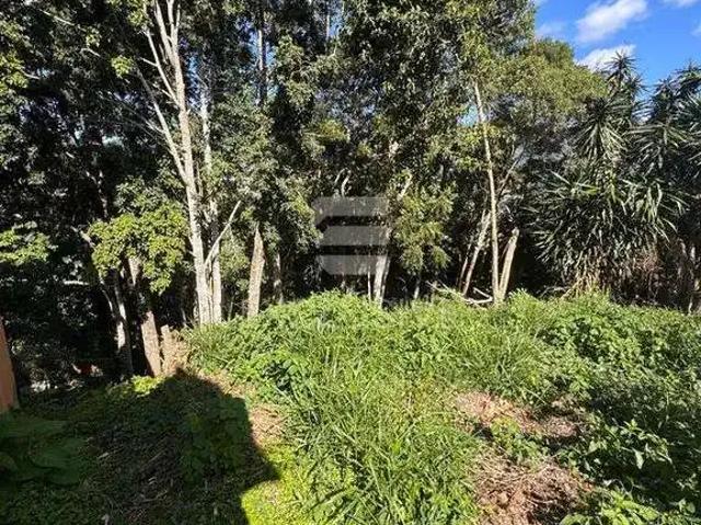 Terreno / Lote para Venda em Nova Friburgo/RJ Braunes