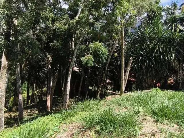 Terreno / Lote para Venda em Nova Friburgo/RJ Braunes