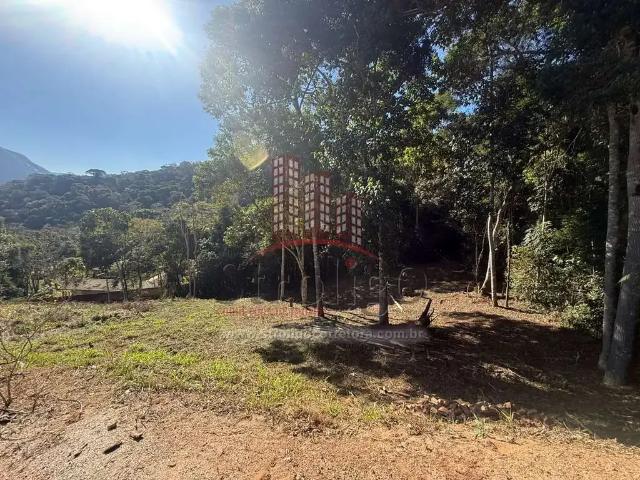 Terreno / Lote para Venda em Nova Friburgo/RJ Braunes