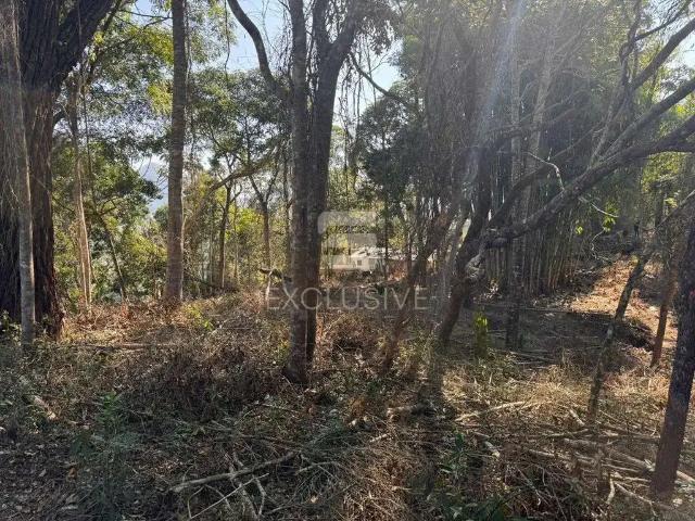 Terreno / Lote para Venda em Nova Friburgo/RJ Braunes