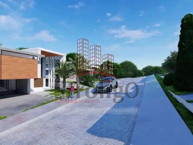 Terreno / Lote para Venda em Nova Friburgo/RJ Braunes