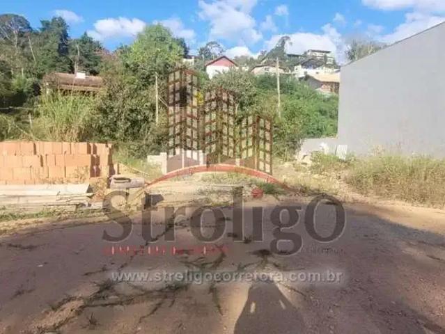 Terreno / Lote para Venda em Nova Friburgo/RJ Braunes