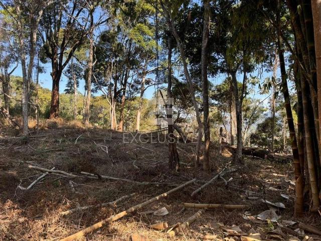 Terreno / Lote para Venda em Nova Friburgo/RJ Braunes