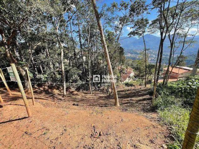 Terreno / Lote para Venda em Nova Friburgo/RJ Braunes