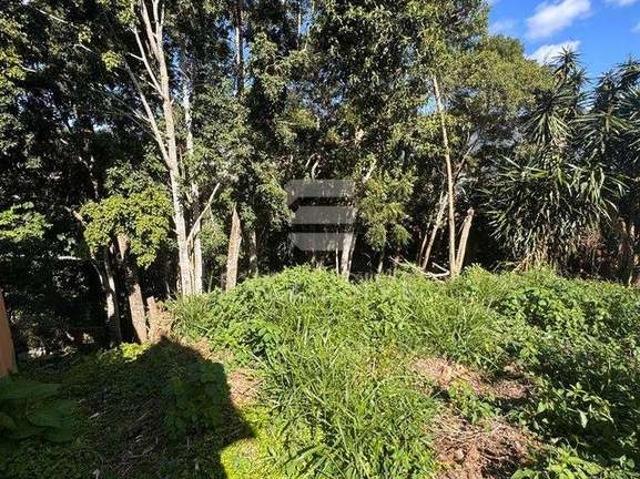 Terreno / Lote para Venda em Nova Friburgo/RJ Braunes
