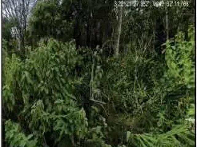 Terreno / Lote para Venda em Nova Friburgo/RJ Debossan