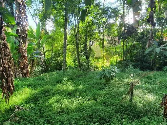 Terreno / Lote para Venda em Nova Friburgo/RJ Lumiar