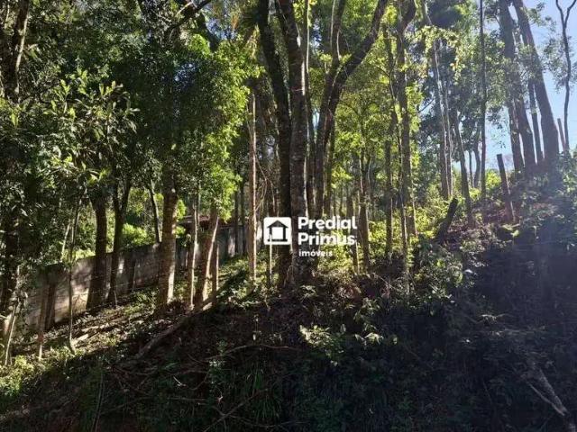 Terreno / Lote para Venda em Nova Friburgo/RJ Mury
