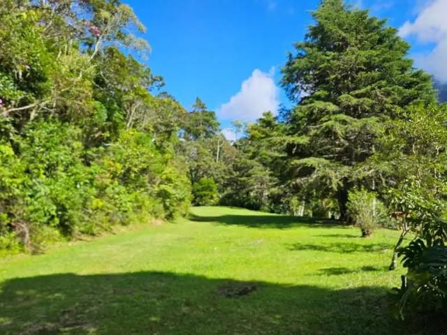 Terreno / Lote para Venda em Nova Friburgo/RJ Mury