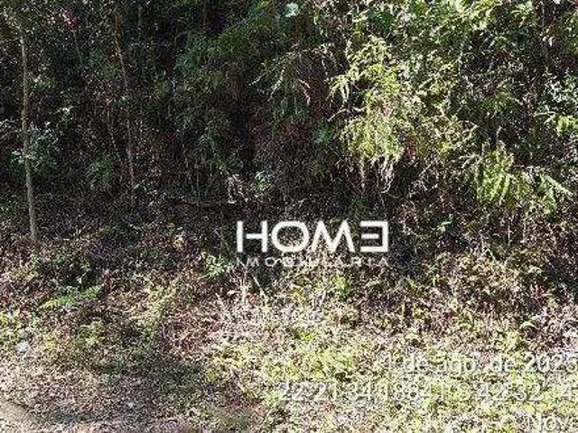 Terreno / Lote para Venda em Nova Friburgo/RJ Nova Suíça