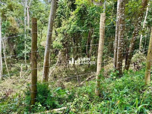 Terreno / Lote para Venda em Nova Friburgo/RJ Nova Suíça
