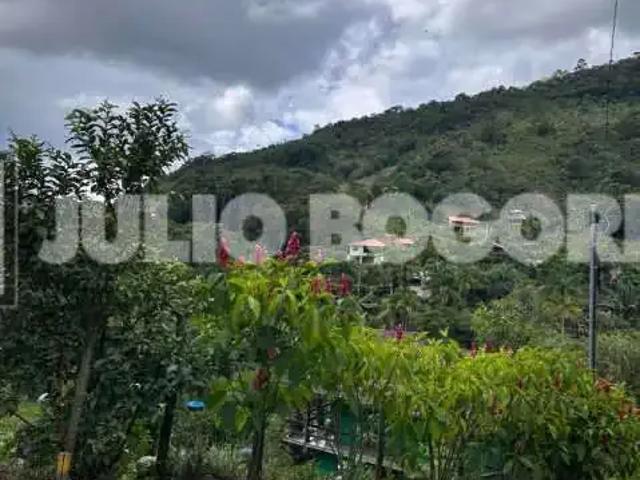 Terreno / Lote para Venda em Nova Friburgo/RJ São Pedro da Serra