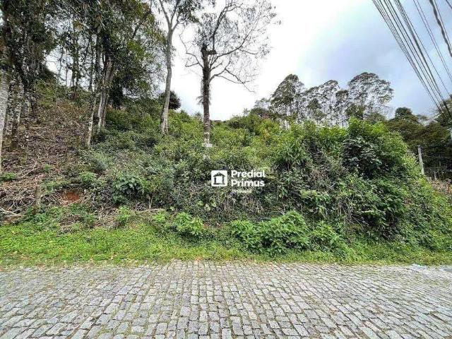 Terreno / Lote para Venda em Nova Friburgo/RJ Santa Elisa