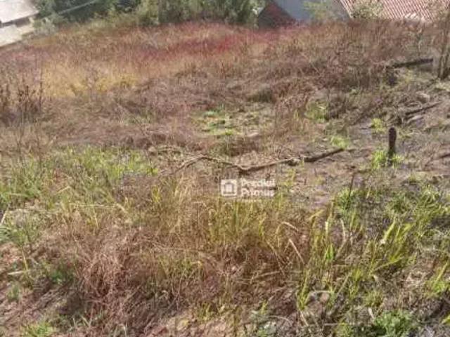 Terreno / Lote para Venda em Nova Friburgo/RJ Suíço