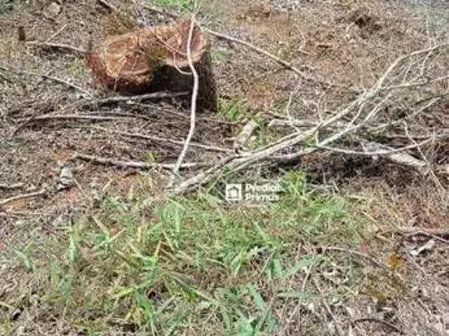 Terreno / Lote para Venda em Nova Friburgo/RJ Ponte da Saudade