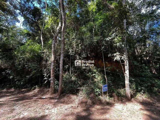 Terreno / Lote para Venda em Nova Friburgo/RJ Ponte da Saudade