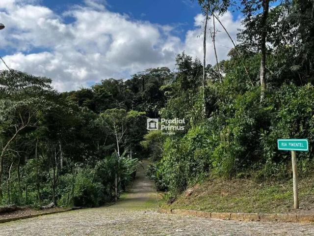 Terreno / Lote para Venda em Nova Friburgo/RJ Ponte da Saudade