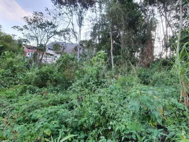 Terreno / Lote para Venda em Nova Friburgo/RJ Ponte da Saudade