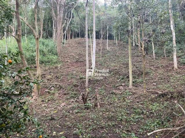 Terreno / Lote para Venda em Nova Friburgo/RJ Parque Dom João VI