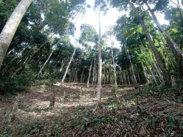 Terreno / Lote para Venda em Nova Friburgo/RJ Parque Dom João VI