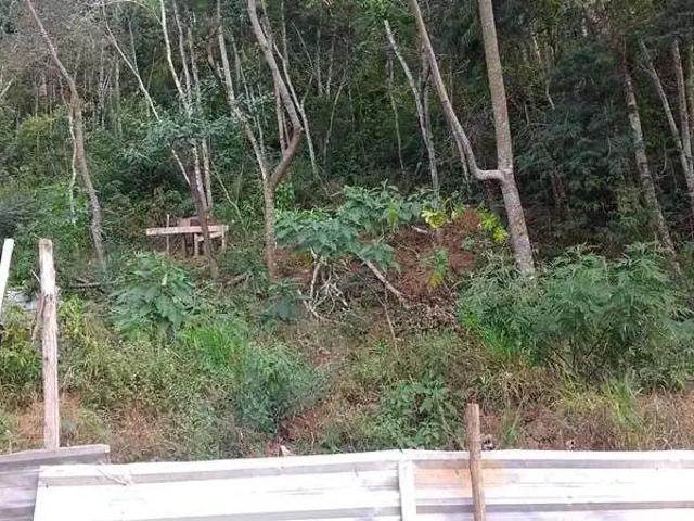 Terreno / Lote para Venda em Nova Friburgo/RJ Parque Dom João VI