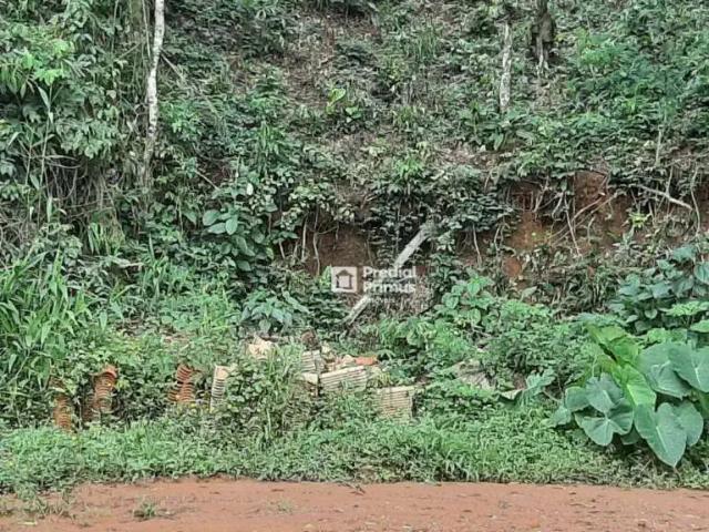 Terreno / Lote para Venda em Nova Friburgo/RJ Parque Imperial