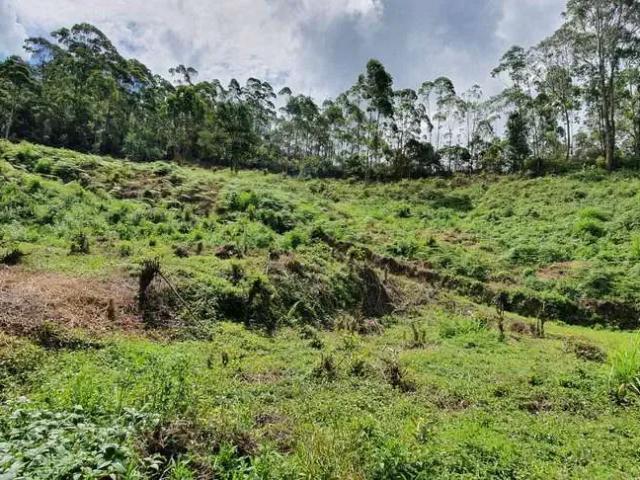Terreno / Lote para Venda em Nova Friburgo/RJ Parque São Clemente