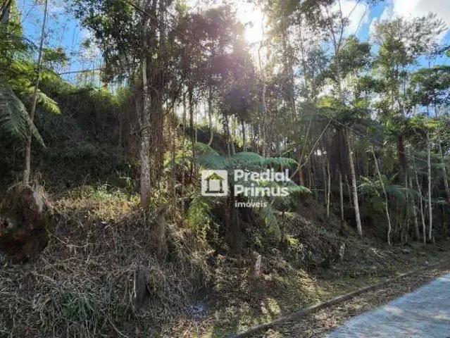 Terreno / Lote para Venda em Nova Friburgo/RJ Parque São Clemente