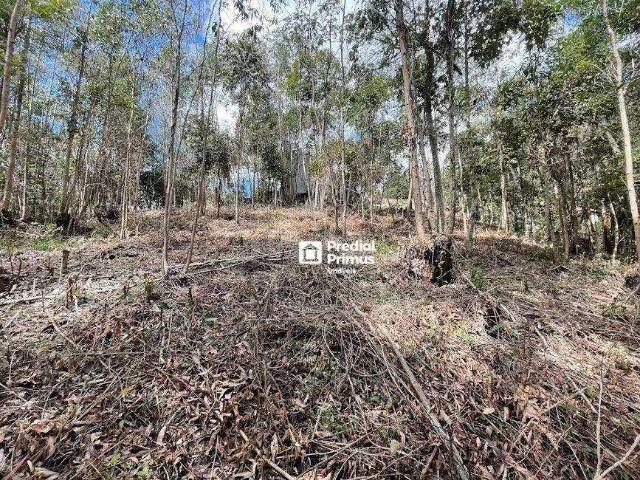 Terreno / Lote para Venda em Nova Friburgo/RJ Vale dos Pinheiros