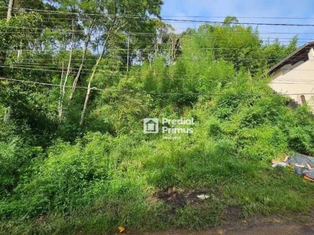 Terreno / Lote para Venda em Nova Friburgo/RJ Varginha