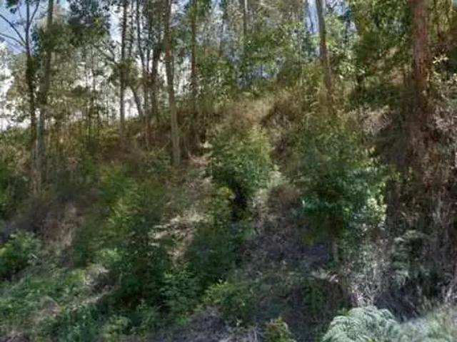 Terreno / Lote para Venda em Nova Friburgo/RJ Varginha