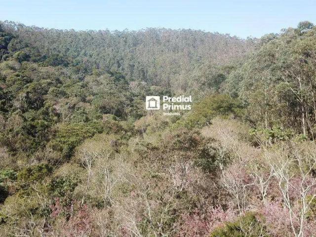 Terreno / Lote para Venda em Nova Friburgo/RJ Varginha