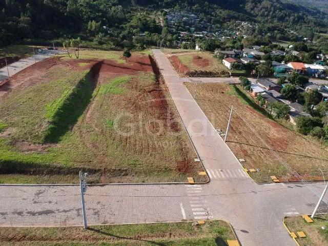 Terreno / Lote para Venda em Nova Hartz/RS Vila Nova