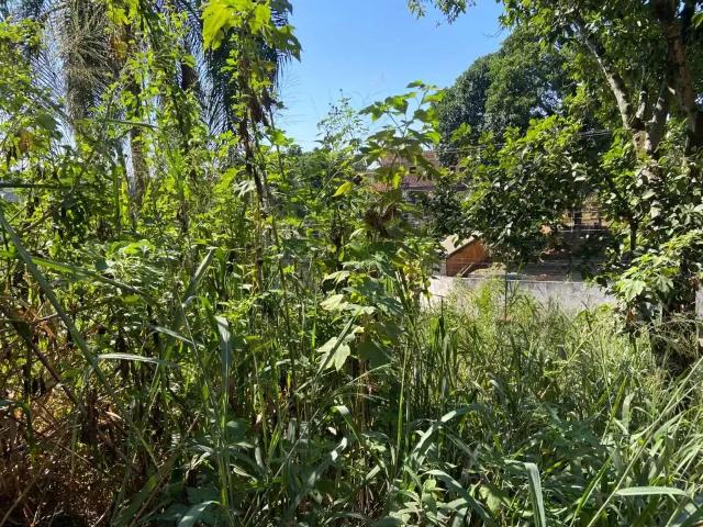 Terreno / Lote para Venda em Nova Iguaçu/RJ Jardim da Posse