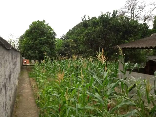 Terreno / Lote para Venda em Nova Iguaçu/RJ Paraíso