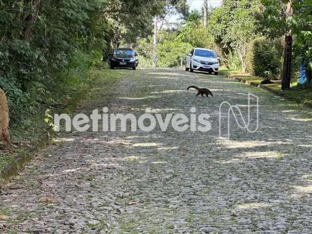Terreno / Lote para Venda em Nova Lima/MG Ville de Montagne