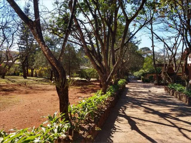 Terreno / Lote para Venda em Nova Lima/MG Lagoa do Miguelão